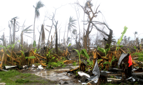 Cyclone Response Cover | Tower Insurance Fiji